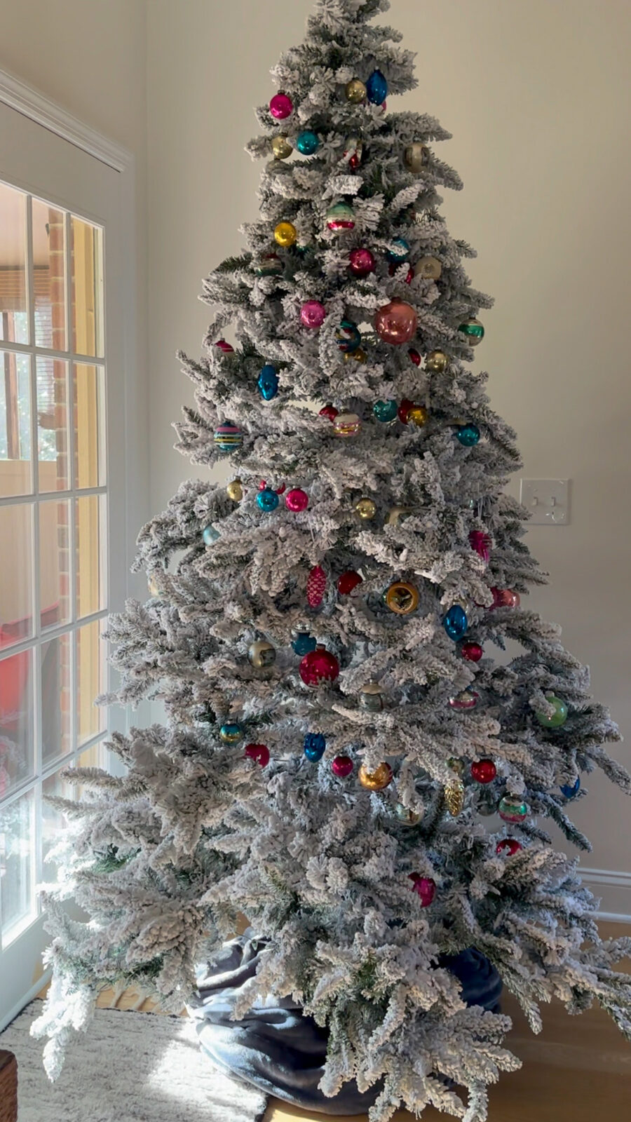 Deck the Halls: Your Guide to Choosing the perfect Christmas Tree ...